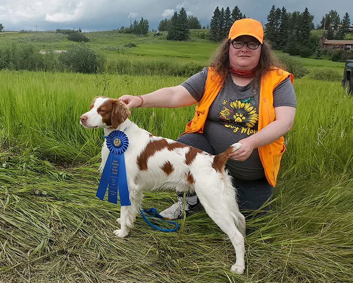 GUN DOGS: Do you hunt with your Pointing breed dog? - Paw Quarterly