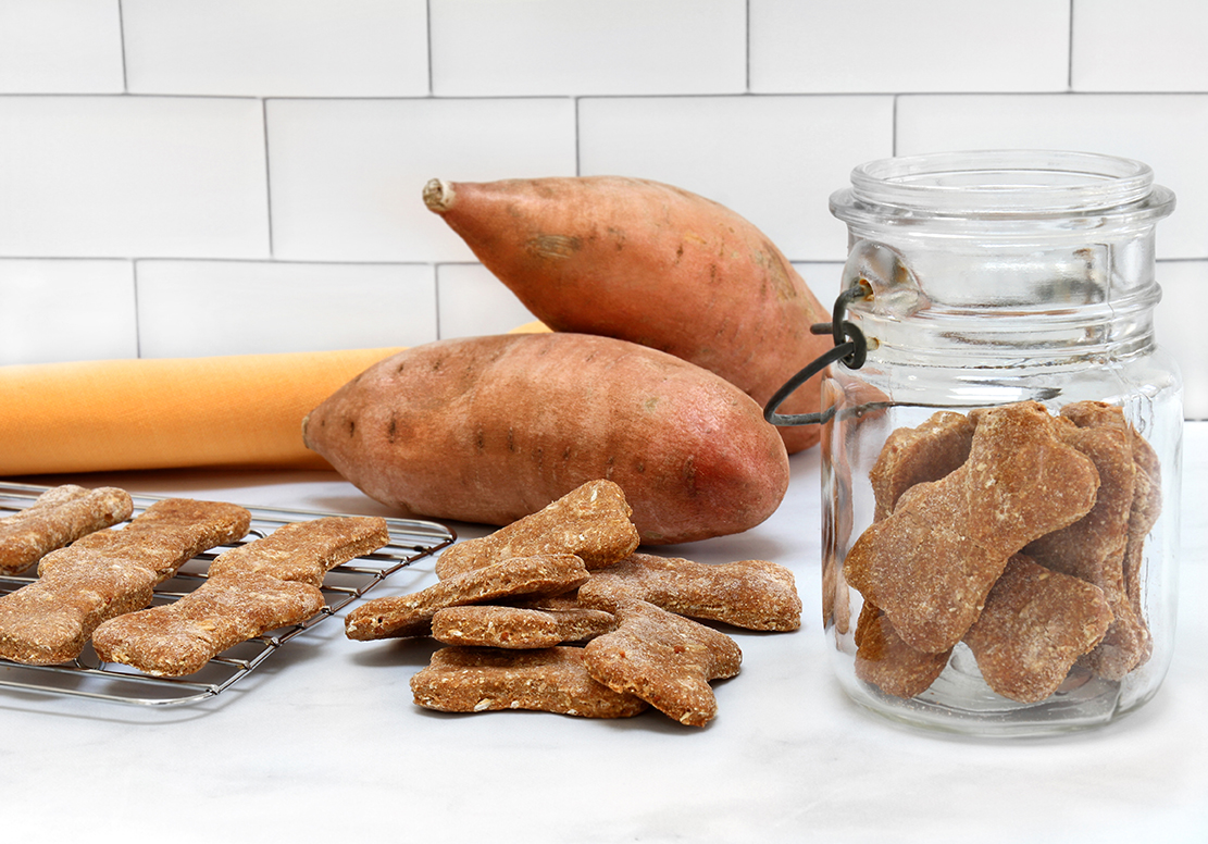 TREATS: Sweet PAW-tato Cookies - Paw Quarterly